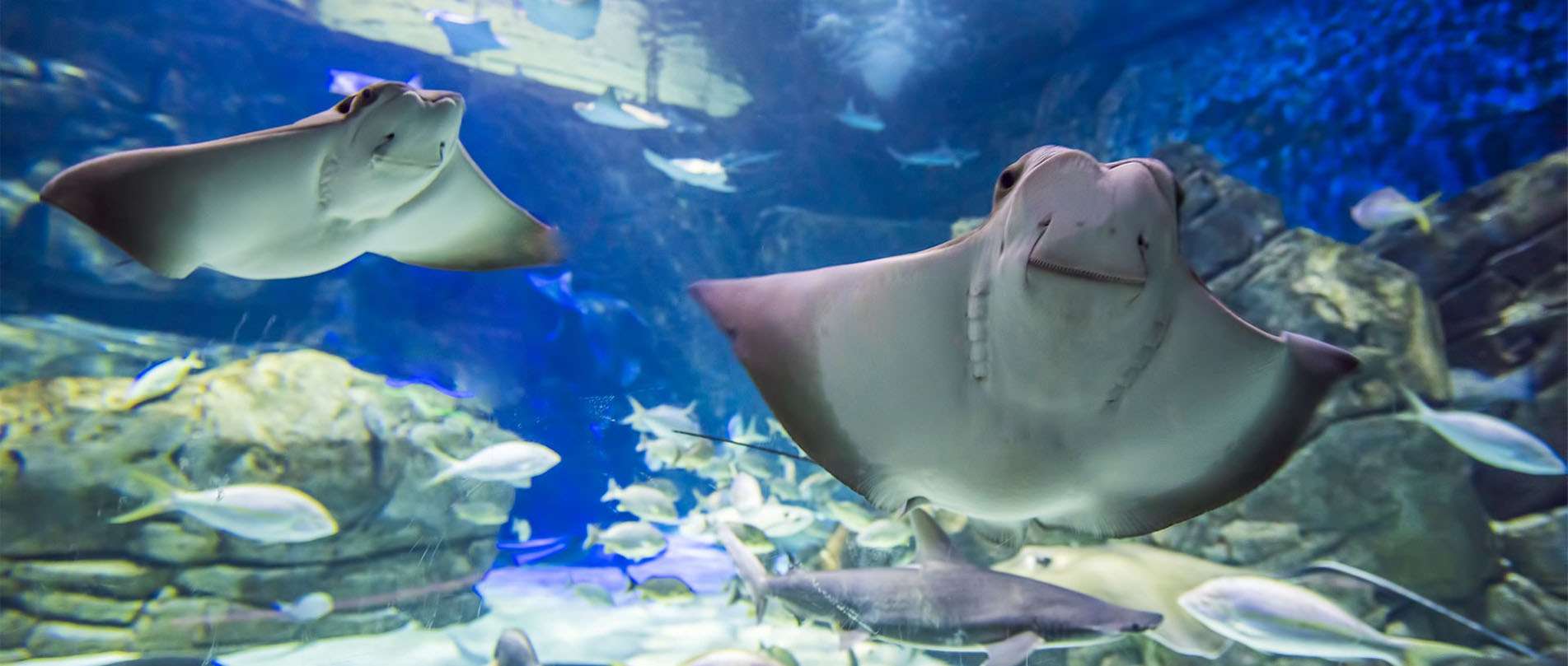 目的地 | 加拿大安大略省旅游局中文官网 - 旅游攻略，景点